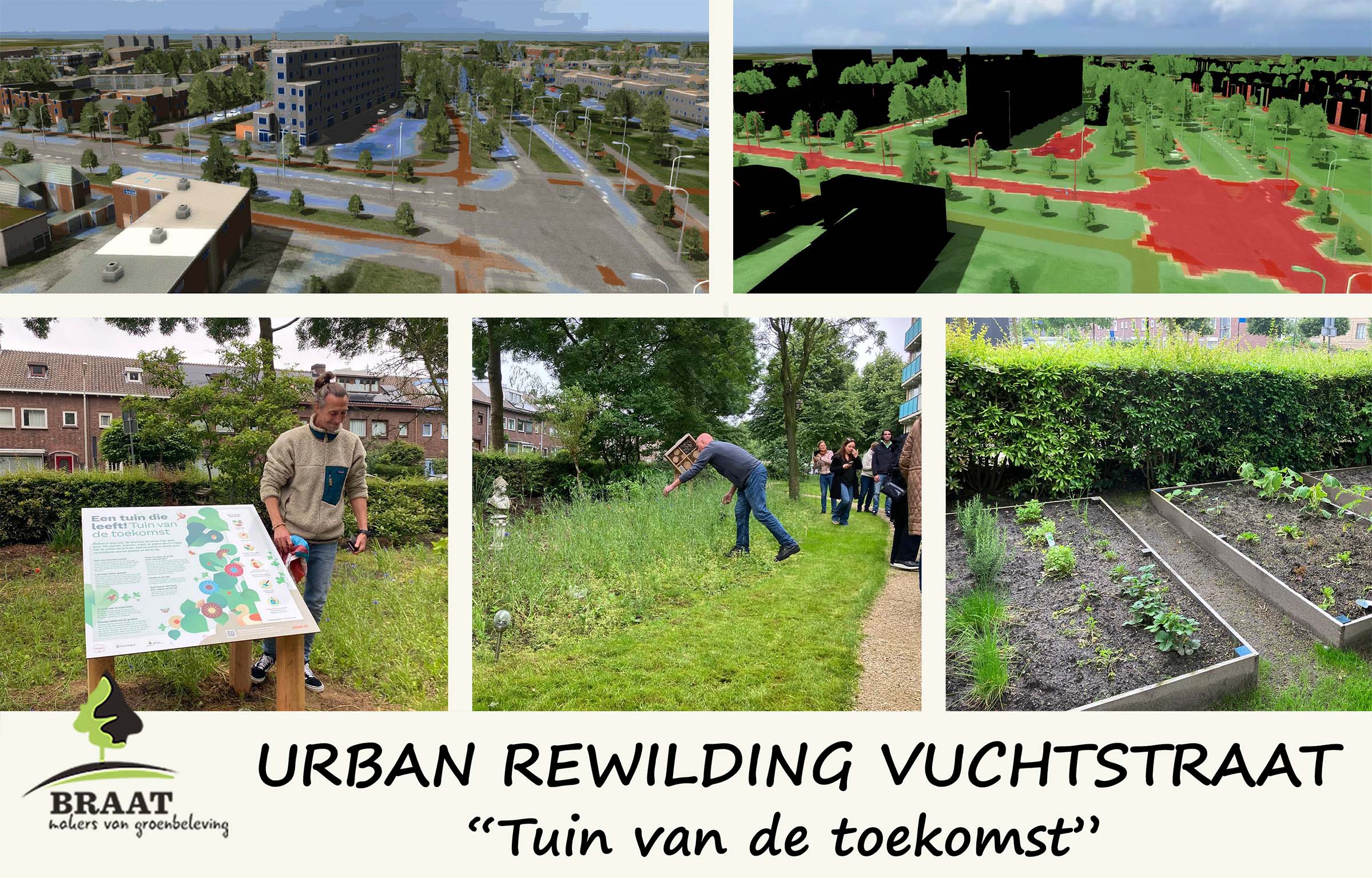 Urban rewilding Vuchtstraat - Braat Groenbeleving